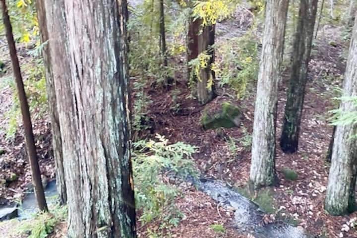 Redwood Retreat Calistoga Private Quiet On A Creek - Calistoga, CA