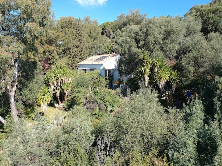Villa La Chouette - Le Lavandou