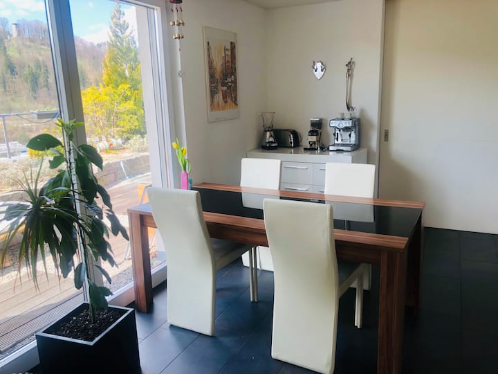 Fantastic Private Room In A Gorgeous Location - Winterthur