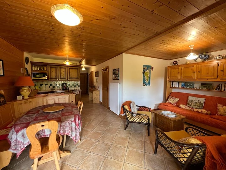 Appartement 55m2 2 Chambres Dans Belle Résidence - Samoëns