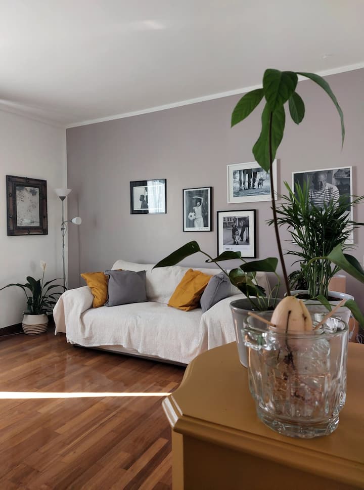 Green Living, 15' To Venice, Free Wifi, Kitchen. - Lido