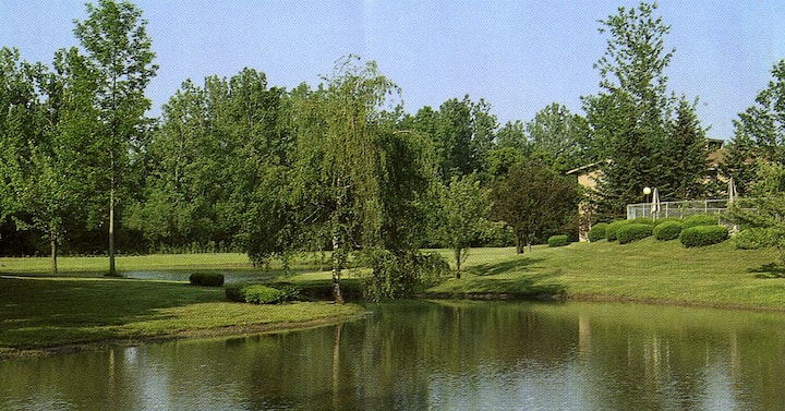 Entire, Lovely One-bedroom Condo In East Syracuse - Syracuse, NY