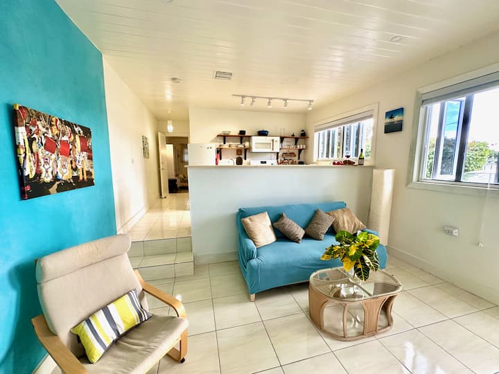 Two Charming Connected Apartments For 4 Or Family - Nassau