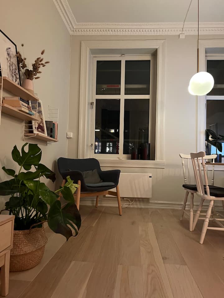 Vakker Leilighet I Rolig Strøk, Sentralt I Oslo - Oslo