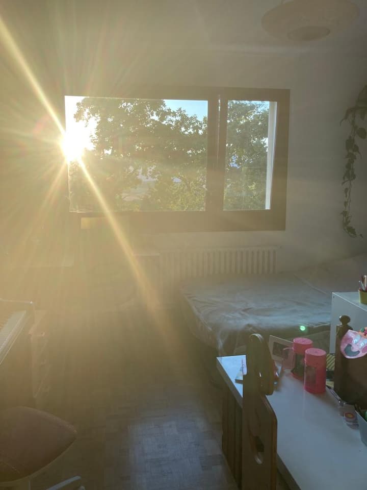 Chambre Lumineuse Aux Portes De Genève! - Saint-Julien-en-Genevois
