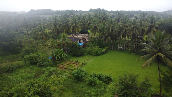 Pure Vegetarian Home In Udupi Without Onion Garlic - Udupi