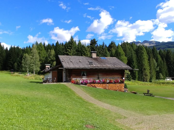 Chalet ' Baita Tabià ' - Dolomites - Moena