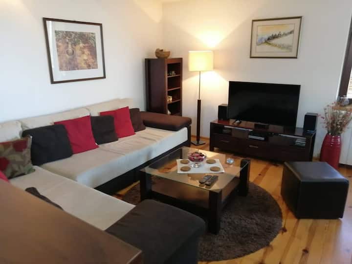 *Apartment Marina* - Zlatibor