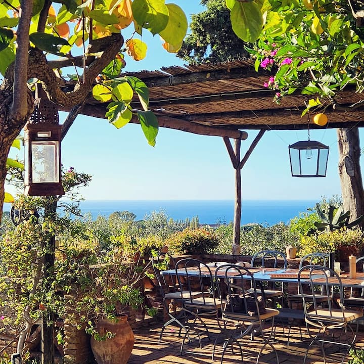 Grande Propriété , 3 Maisons, 14 Pers., 7 Chambres - Castellabate