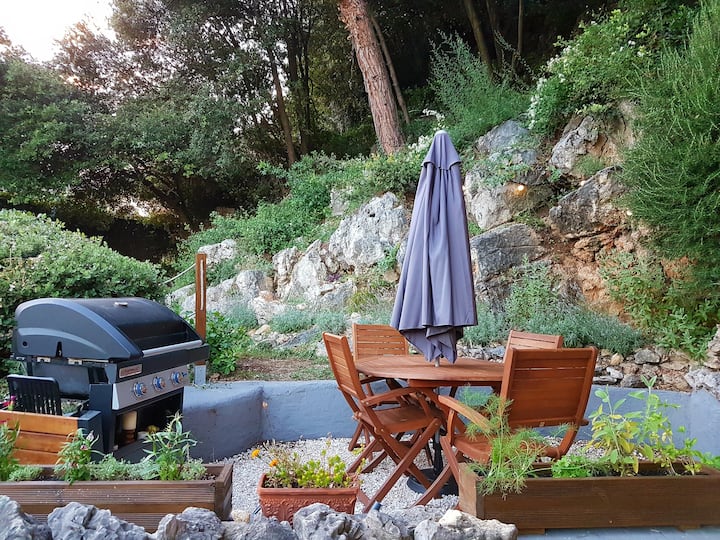 Villa Rocamar - Stunning Forest Views In Vence - Vence