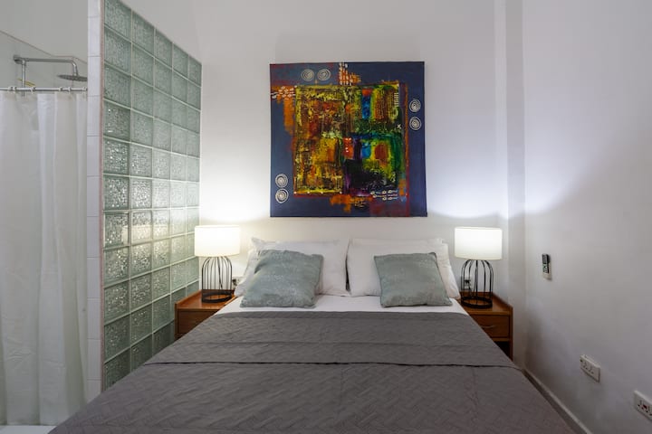 Casa Flamboyan-bed.3-free Wi-fi & Solar Panels - Havana