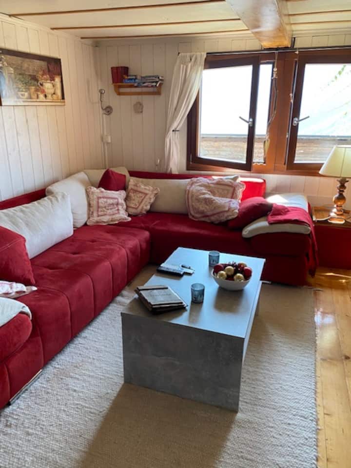 Cosy Authentic Mountain Chalet Sauna, Garden Prive - Gryon