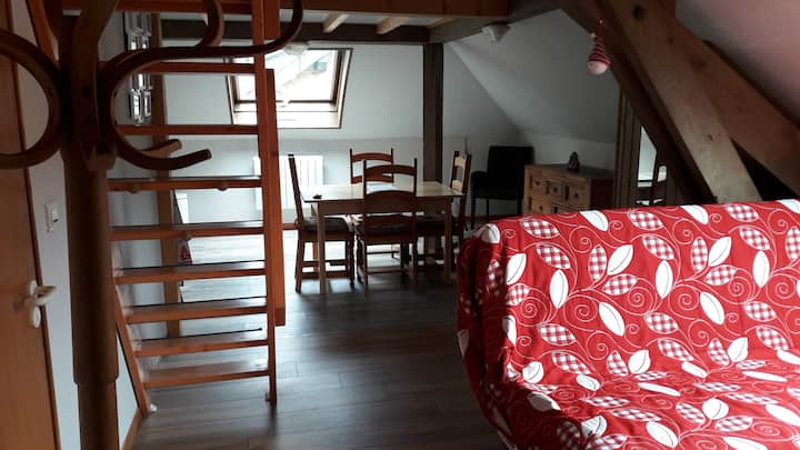 Studio 6 Plein Centre De La Bresse. - La Bresse