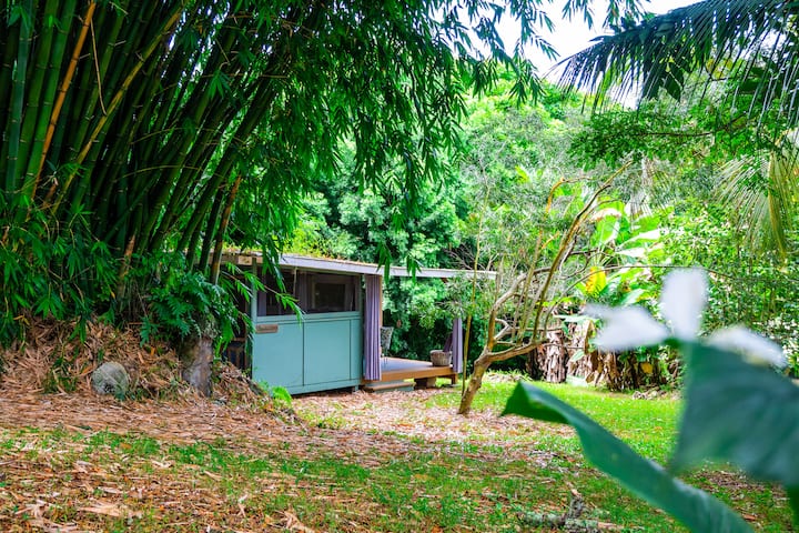 Unplug And Reset: Bamboo Cabin - 캡틴 쿡
