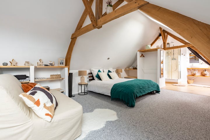 Proche Lille/aéroport/grd Stade : Belle Suite+pdej - Lille