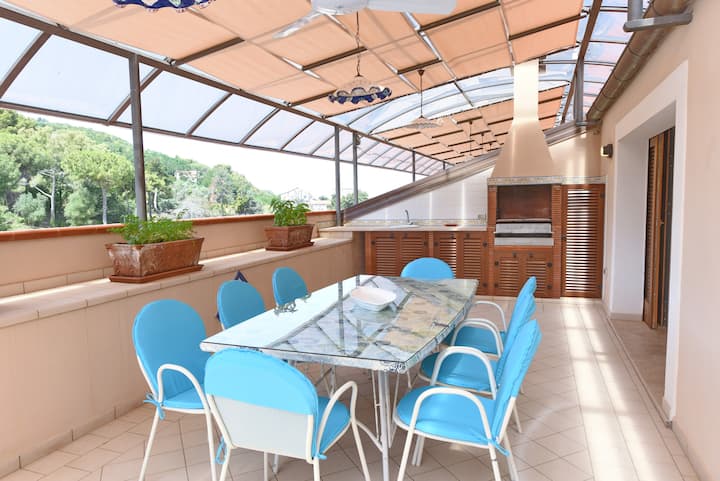 Delphinus - Castellabate