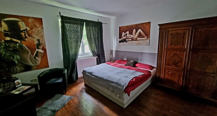 Maller Apartment Beruf,geschäflich. Kurzzeitwohnen - Salzbourg
