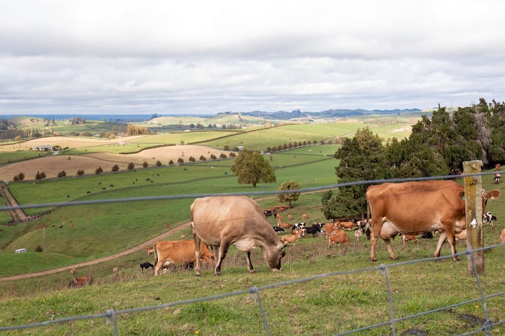 Country Retreat - 2km To Hobbiton! - Matamata