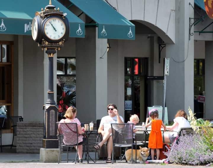 Modern Basement Family Suite In Edgemont Village - 6400