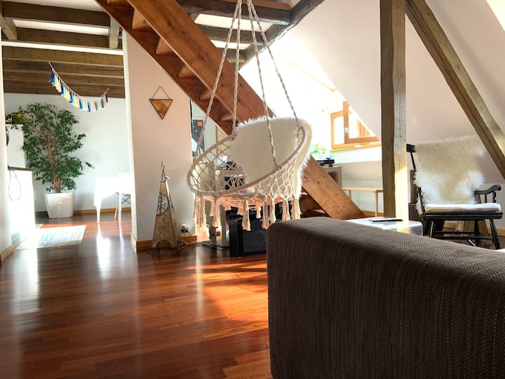 Magnifique Duplex Type Loft - Idéal Famille - Strasbourg
