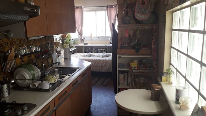 Un "Petit Studio" Dans Mon Appartement - Paris