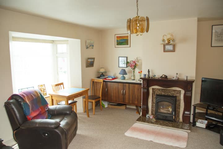 Higgins Bed And Breakfast Rear - Dingle