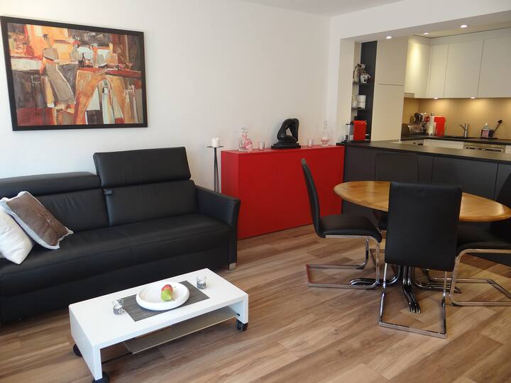 Moderne, Neu Renovierte 2 ½ Zi-ferienwohnung - Engelberg