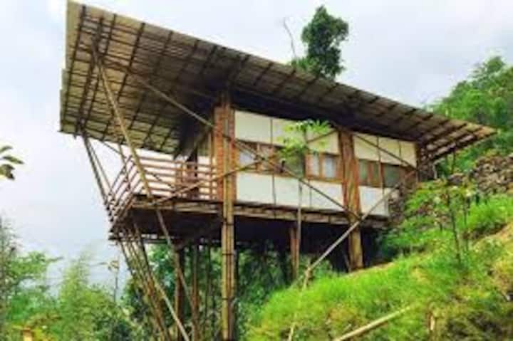 India Treehouse Holiday Rentals | Airbnb