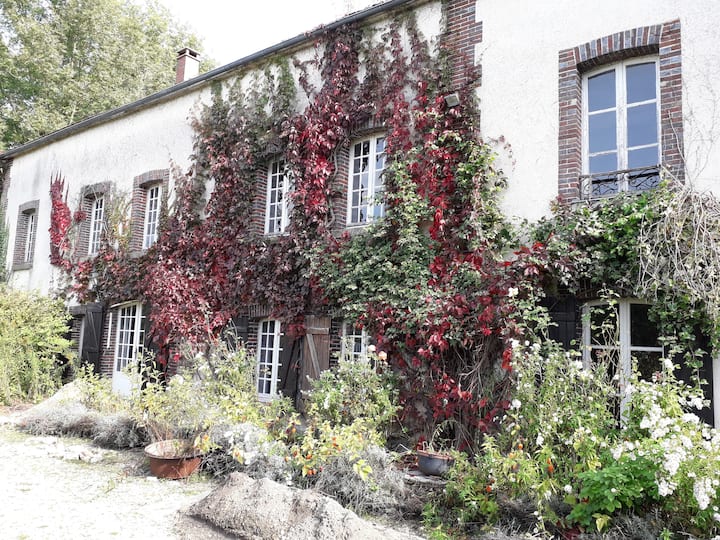 Maison Dans Un Ancien Moulin - Saint-Florentin