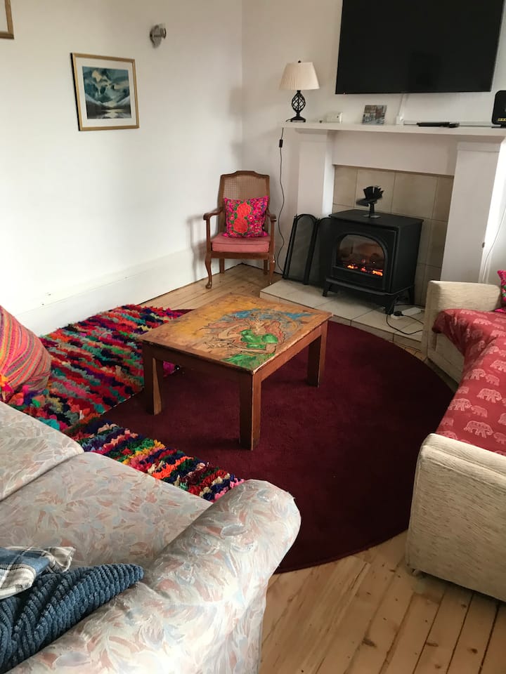 Large, Sunny Edinburgh Apartment - Edinburgh