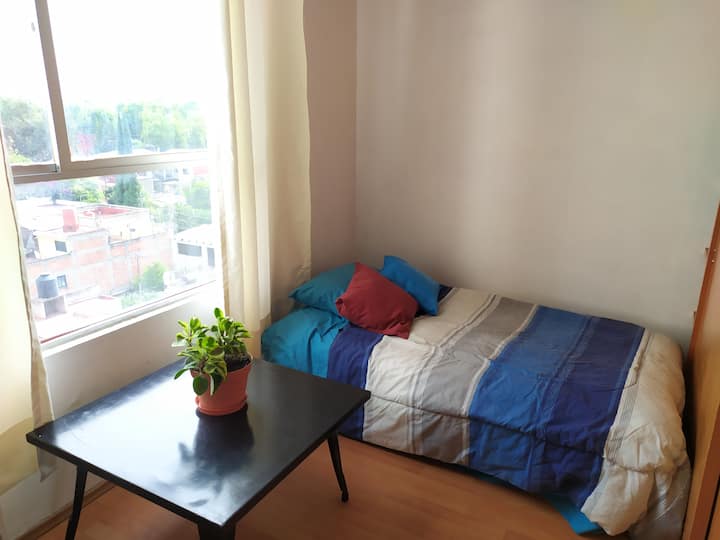 Top 10 Long-Term Rentals In Mexico City, Mexico - Updated 2024 | Trip101