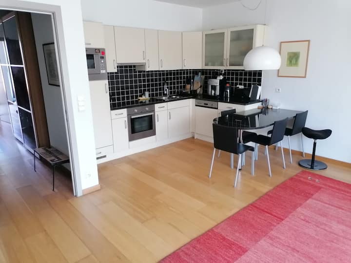 Great Modern, Spacious 2 Room Apartment, 1000 Brx - Bruselas