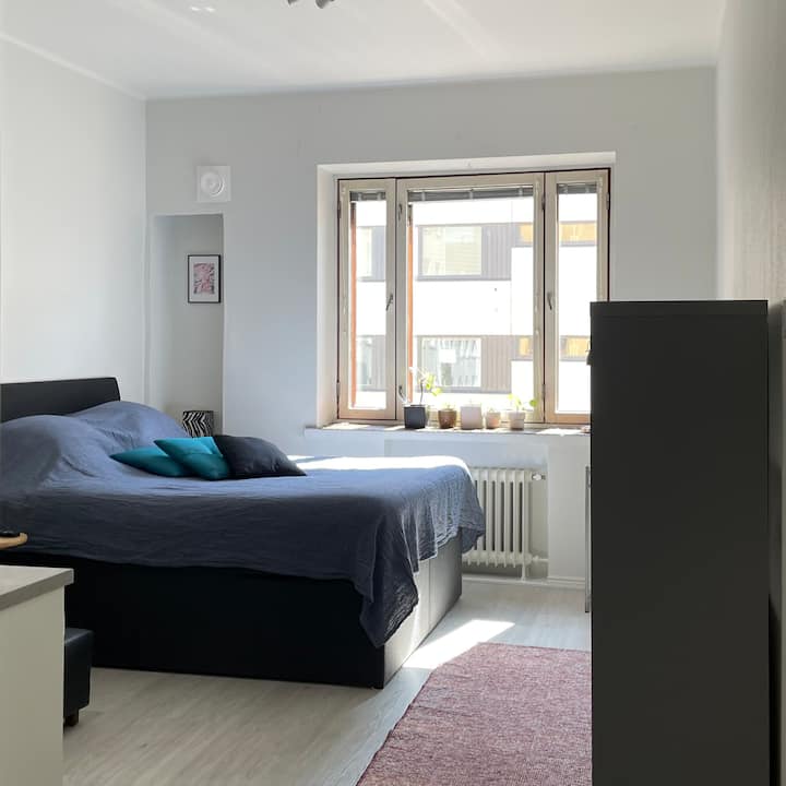 Siisti Yksiö Lyhyeen Tai Pidempään Majoitukseen. - Helsinque