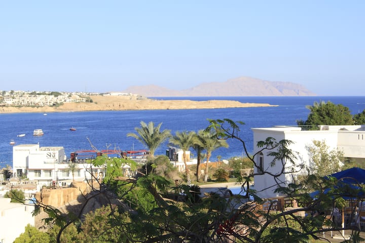 Sharm El Sheikh, Naama Bay Centre, Sharm Naama Bay - Sharm El-Sheikh