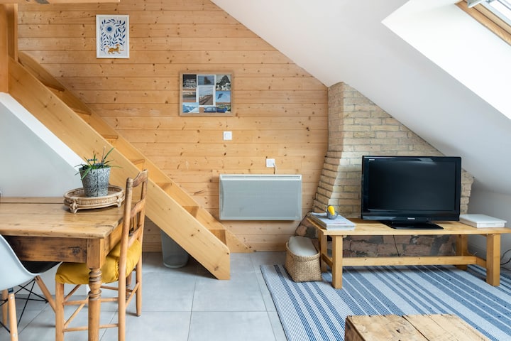 Studio Sous Les Toits Au Pied De La Bastille - Grenoble
