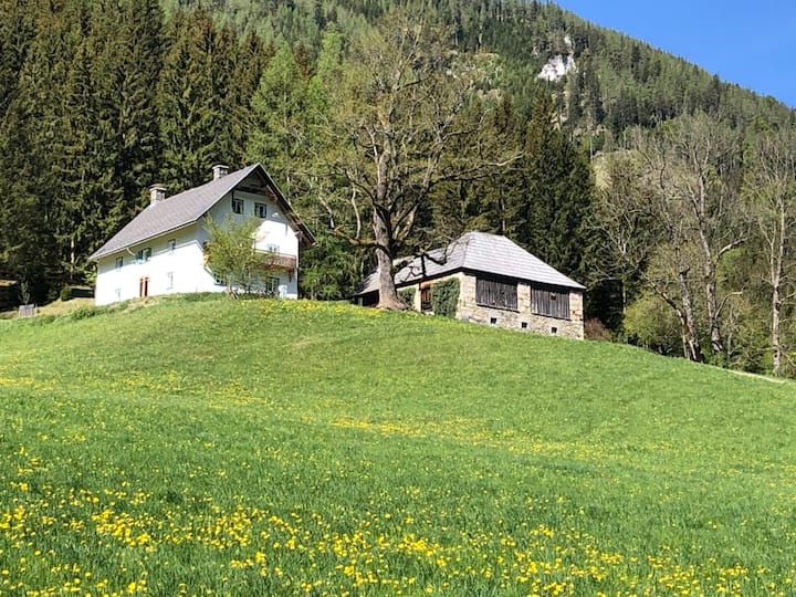 Der Kohlhammer - Die Ruhe Selbst - Wildalpen