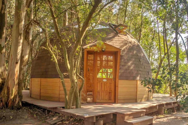 Wooden Dome Close To Colonia Del Sacramento - Uruguay