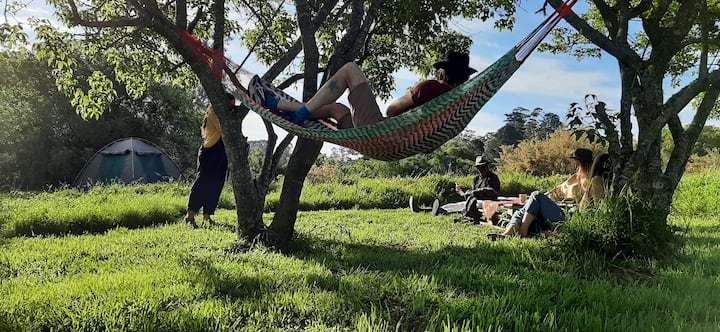 Moon Glow, Vegan Campsite (Own Tent) - 나이스나