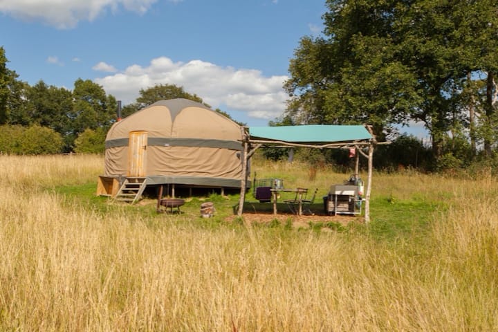 Oak - Large Woodland Yurt On Organic Dairy Farm - Sevenoaks