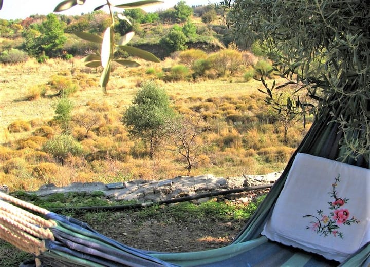 Asklipion Valley Guest House - Elιa - Isla de Cos