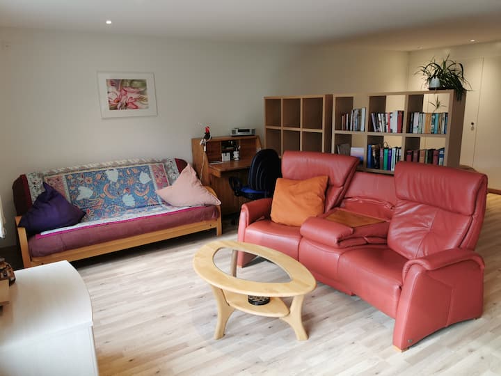 Grosszügiges 1-raum Apartment - Kein Parken - Stans