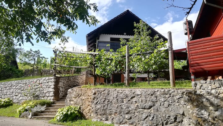 Wineyard Cottage - Gradac