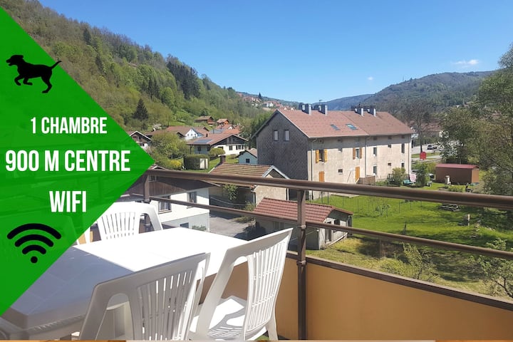 Appart. 1 Ch * 900m Centre * Navette Ski * - La Bresse