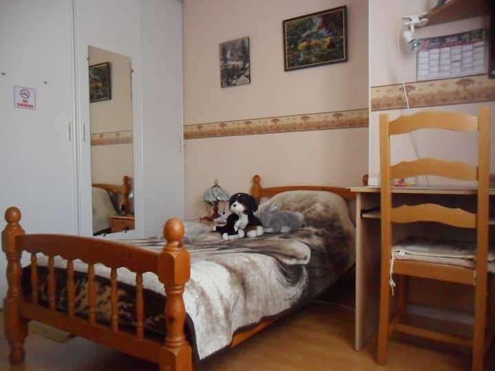 Chambres  Chez L'habitant Proche  Aéroport Cdg - Plailly