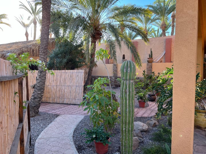 Top 9 Yurts in Mexico - Updated 2025 | Trip101