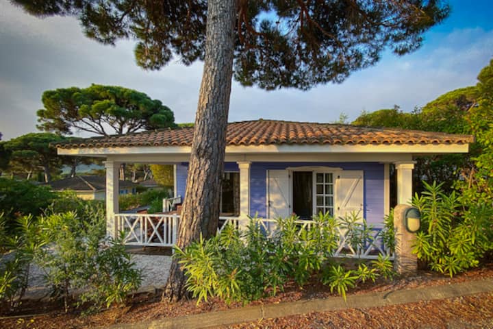 Villa Parc Oasis - Gassin Var - Gassin