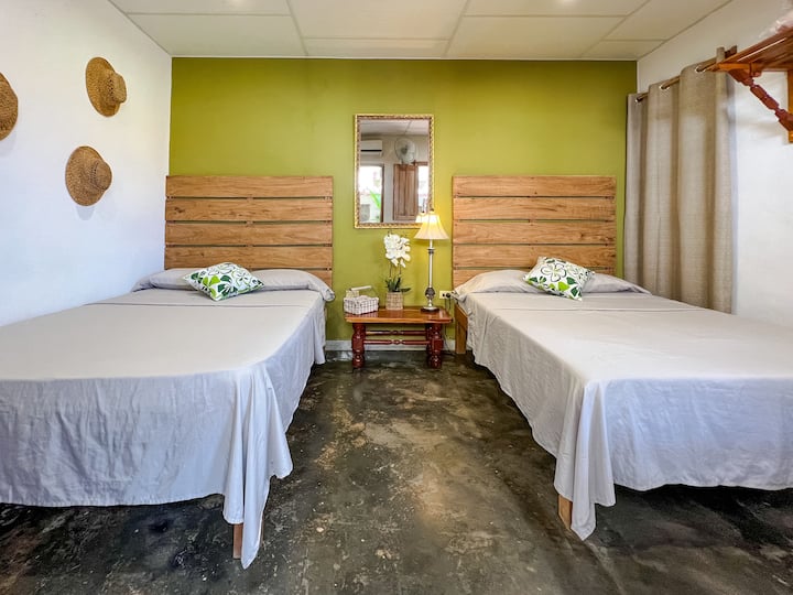 Casa Nueva Luna 1.vegetarian Meals +Energía Solar. - Viñales