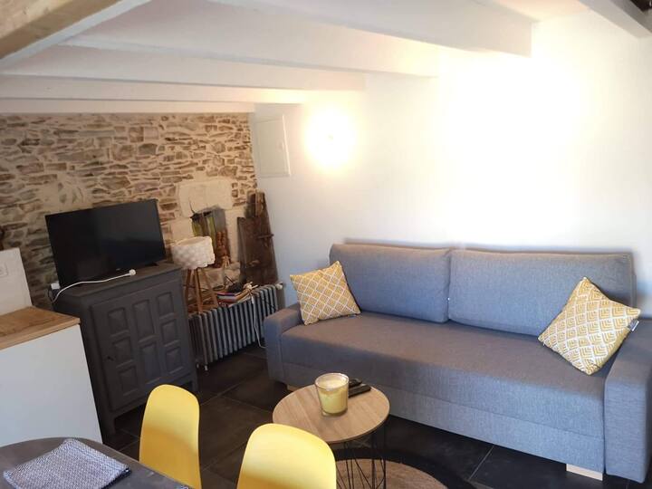 Joli Gite Et Jardin Clos. Possibilité Longue Durée - Ancenis