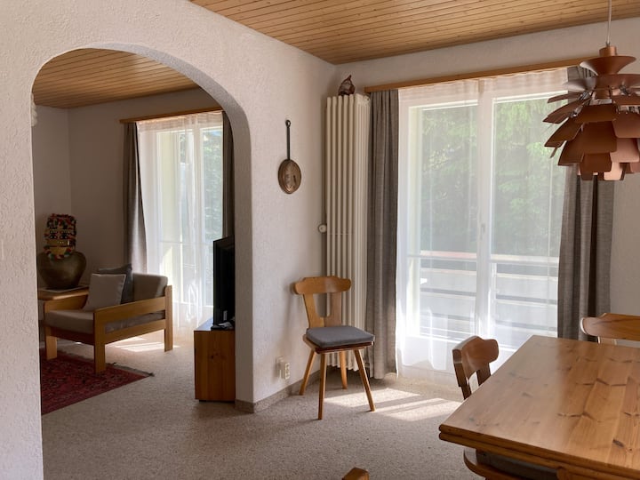 3.5 Room Apartment In Walking Distance To Congress - Davos