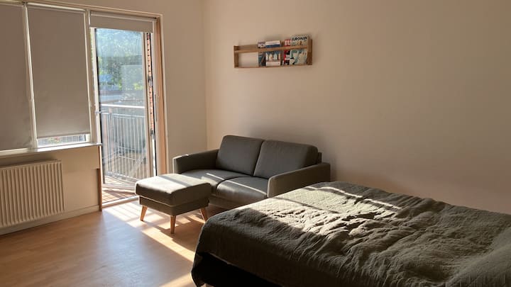 Centrally Located Apartment - Kopenhagen